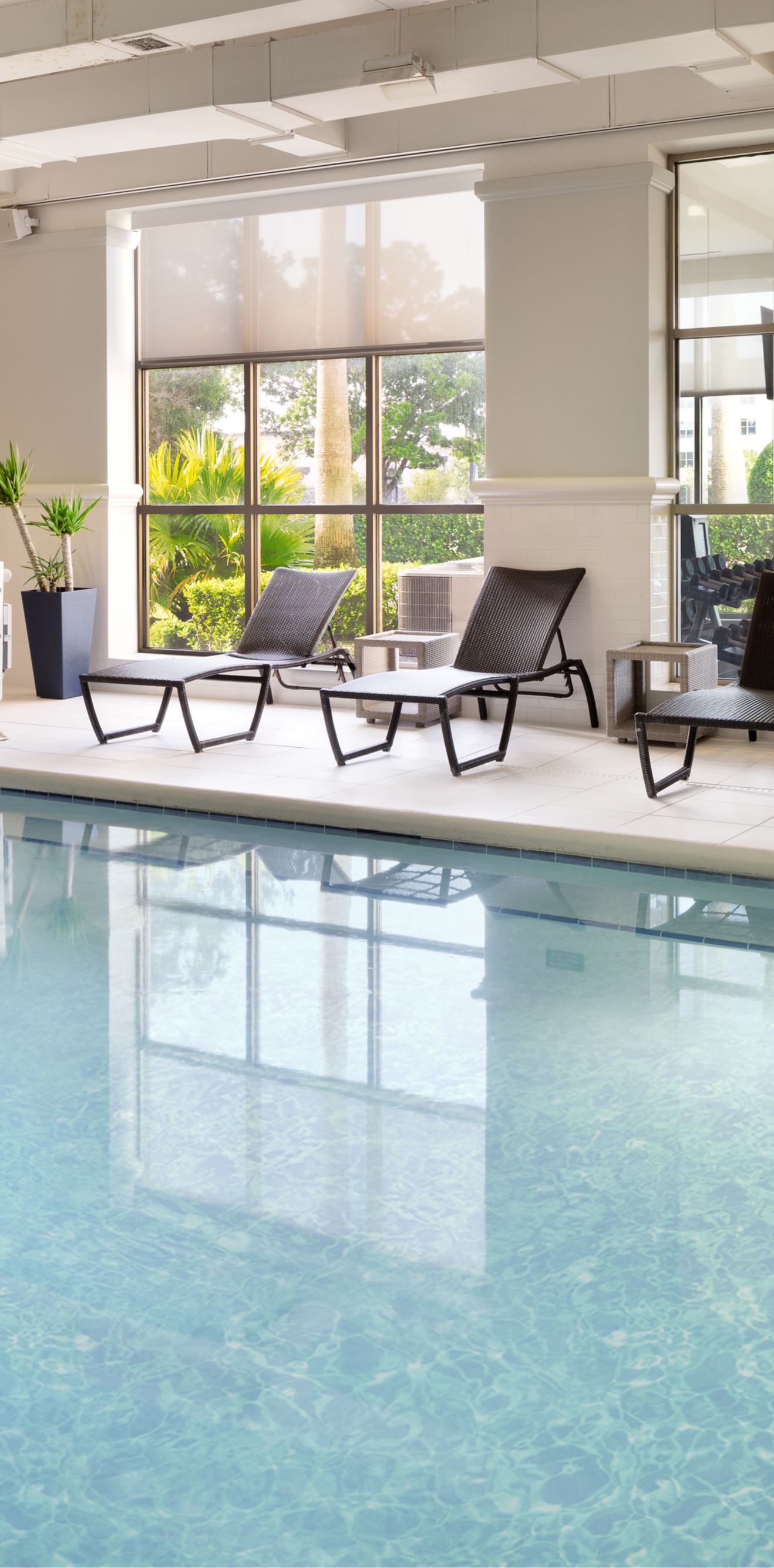 Hotel in Jacksonville, FL | Sheraton Jacksonville Hotel