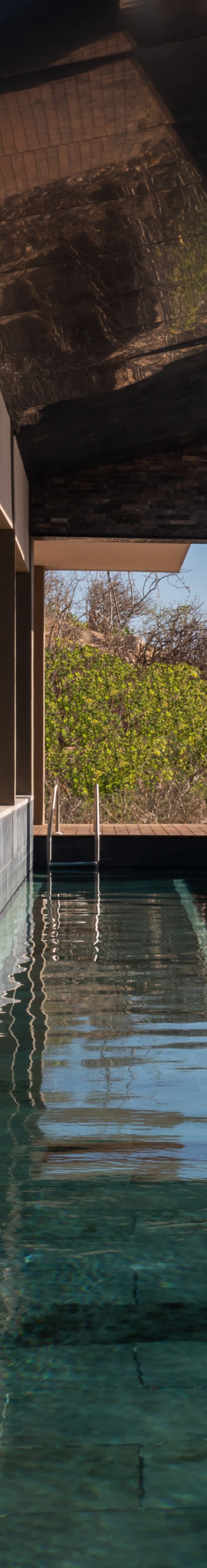 Los Cabos Activities and Experiences l Zadún, a Ritz-Carlton Reserve