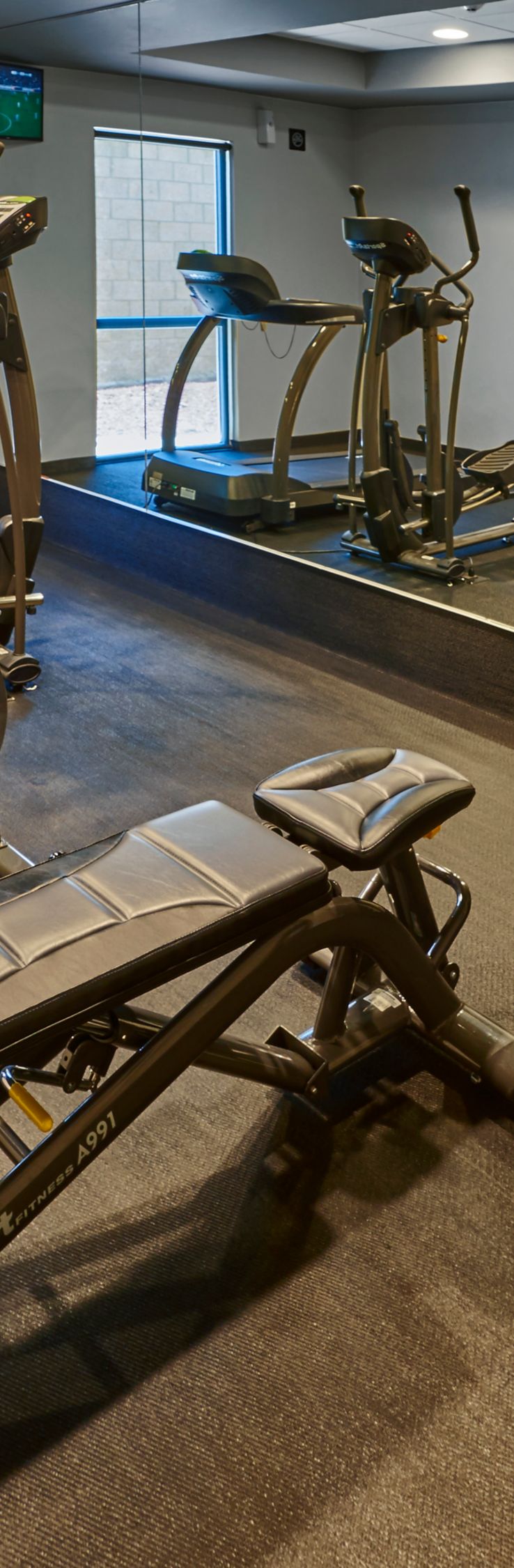 Gym Celaya l City Express