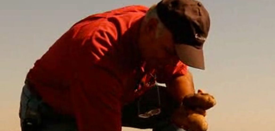 100 Circle Farms: A McDonald’s Potato Supplier | McDonald’s