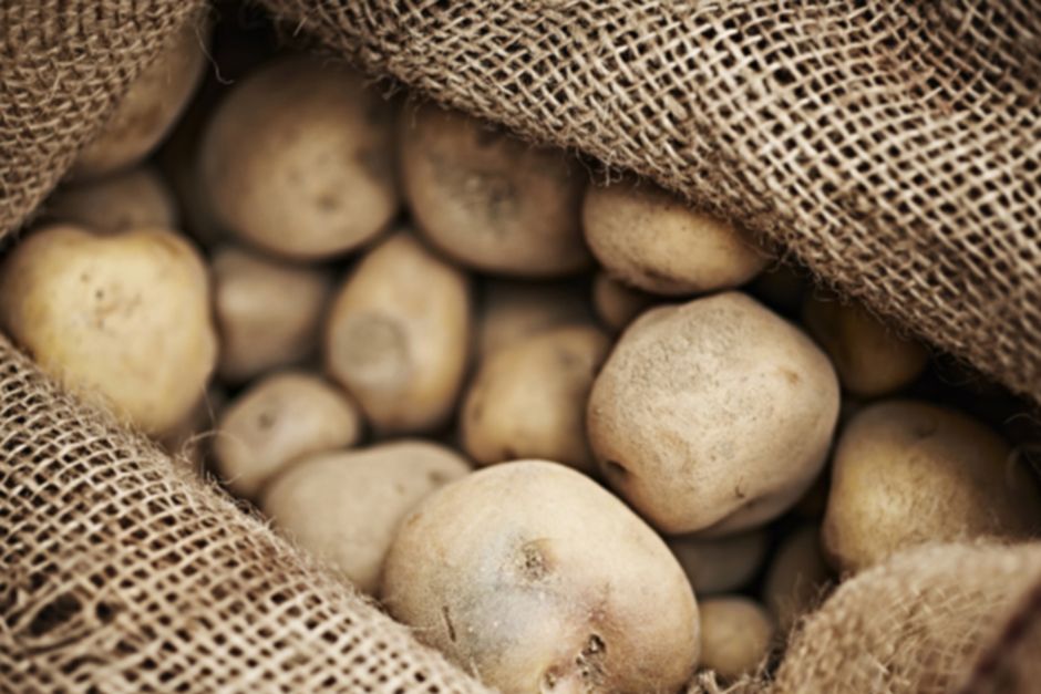 Lopez Foods: A McDonald's Meat Supplier | McDonald's