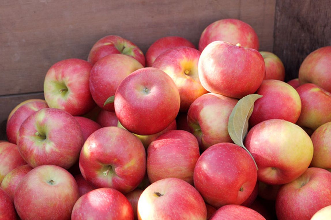 Balanced Food Options | McDonald's