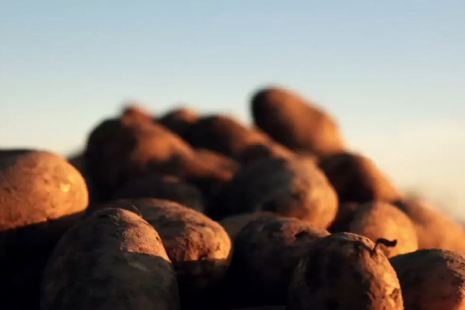 Frank Martinez: A McDonald’s Potato Supplier | McDonald’s