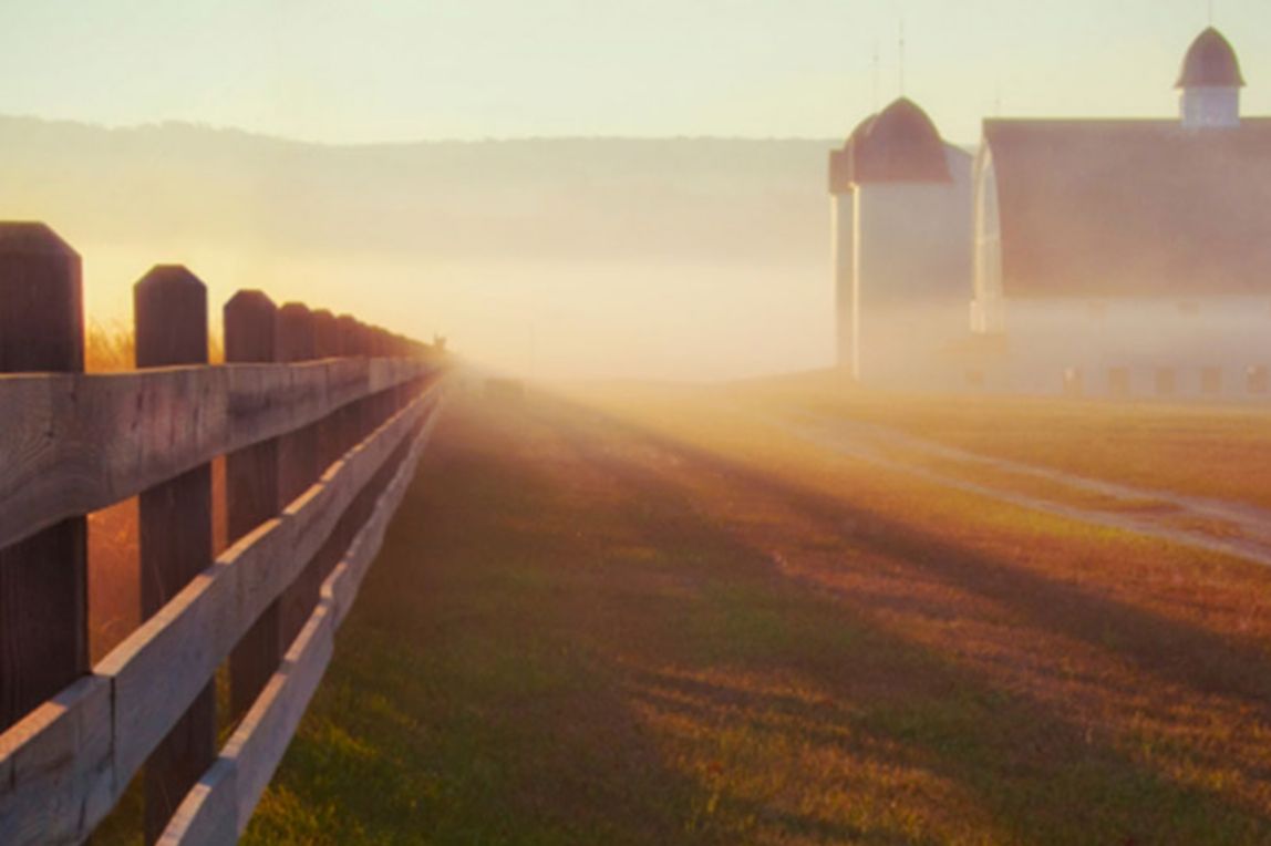 McDonald's Food Suppliers & Food Sources | McDonald's