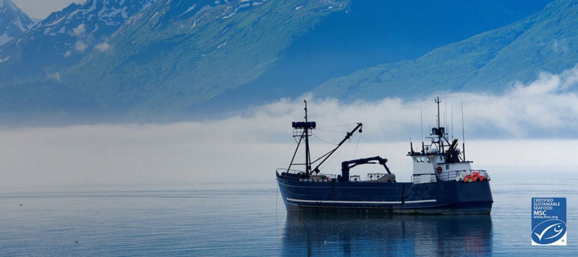 McDonald's Sustainably Sourced Fish | McDonald's UK