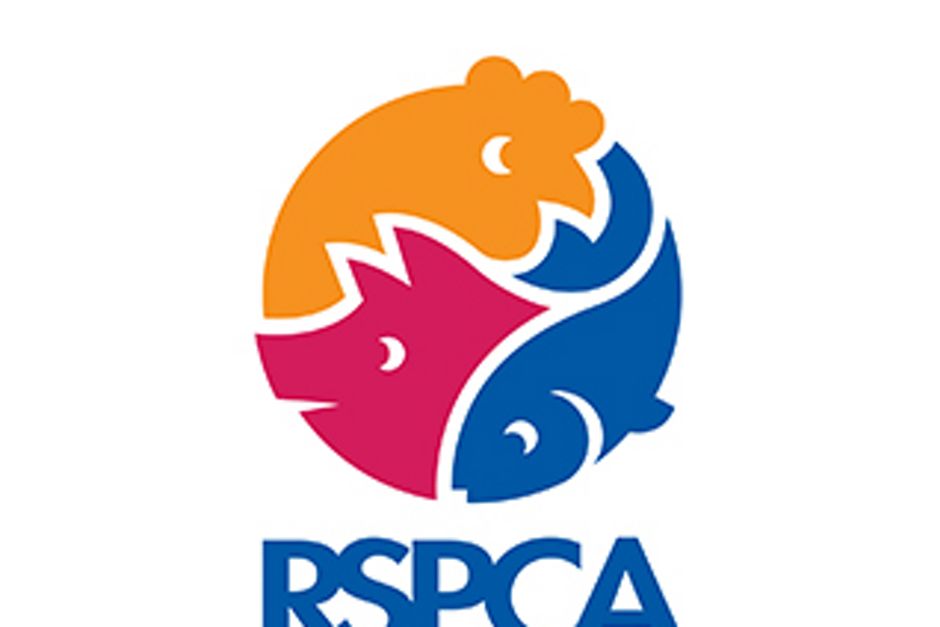 Great Food - Our Plan for Change | McDonald's UK