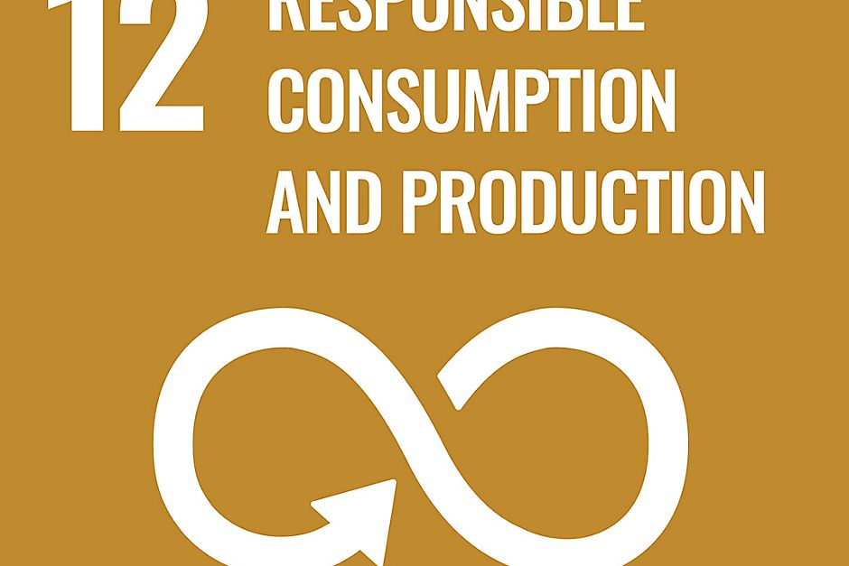 Contributing to the UN SDGs