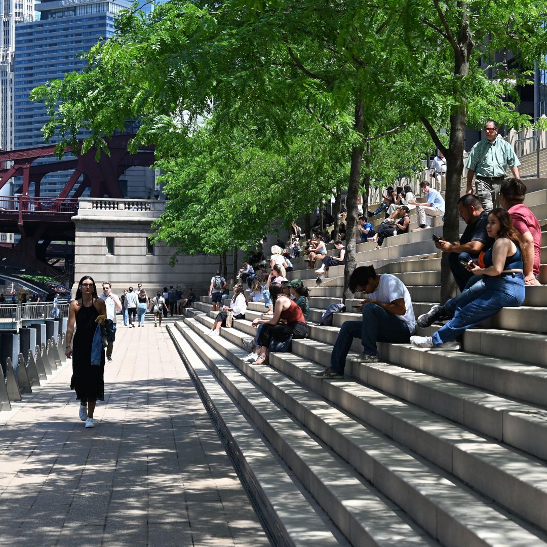 NORC at the University of Chicago | Research You Can Trust