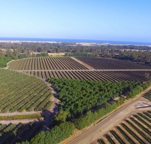 A conversation with AustOn’s Tim Lee