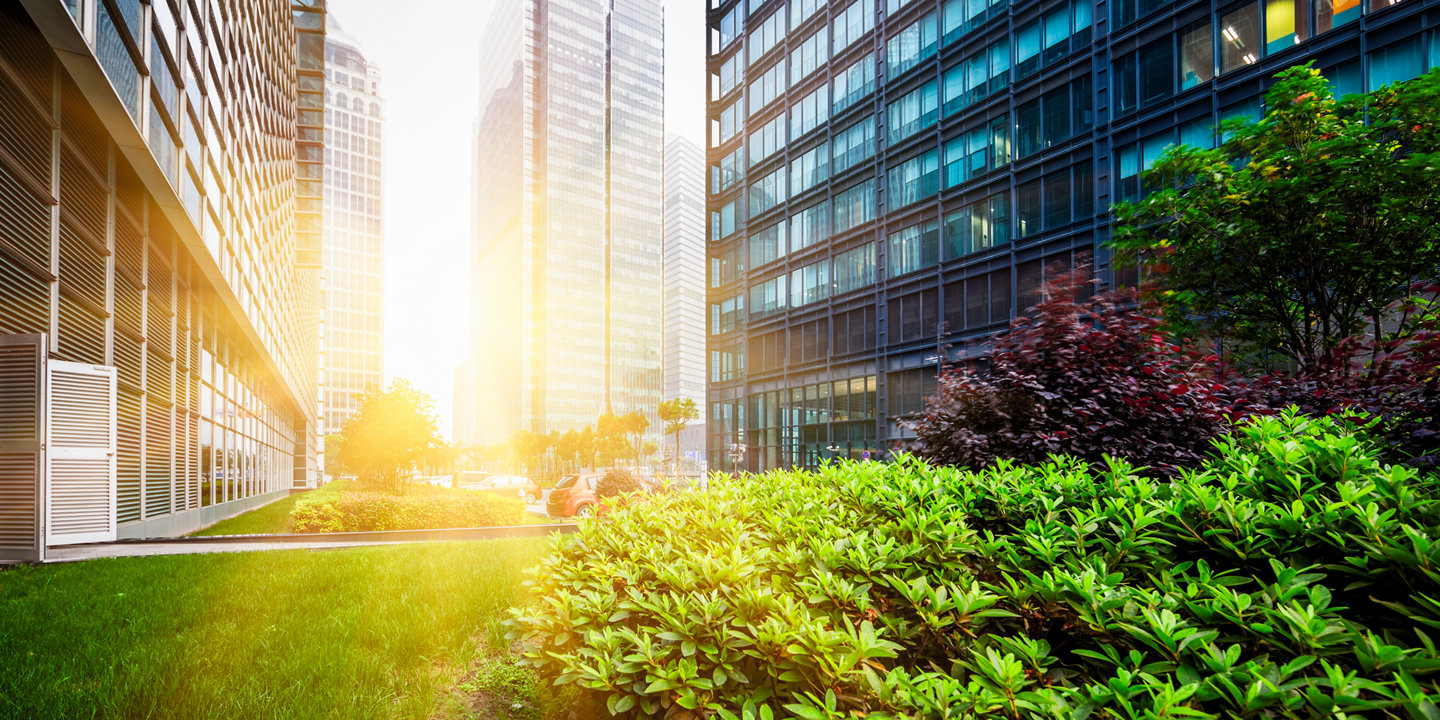 Koru: Igniting innovation