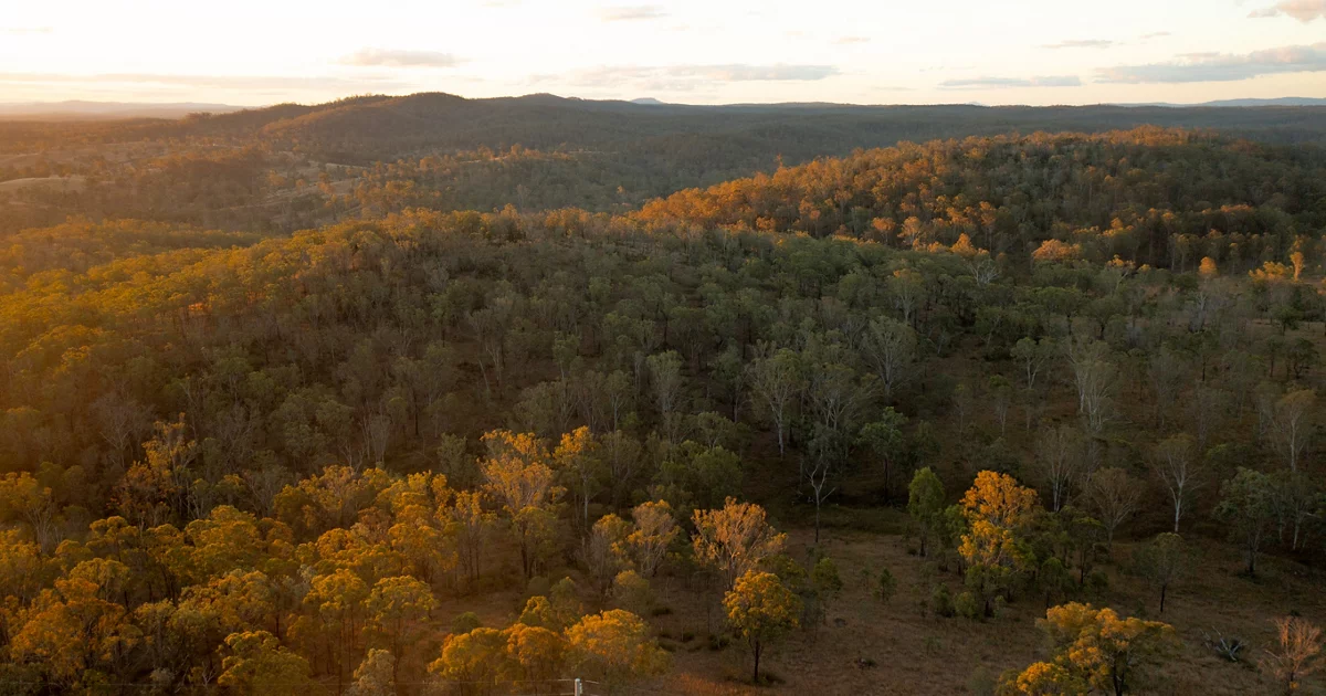 Developing market-based solutions to improve environmental outcomes