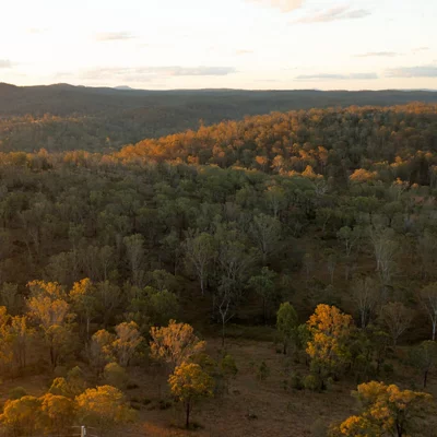 Developing market-based solutions to improve environmental outcomes