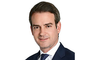 Europe, Middle East and Africa team