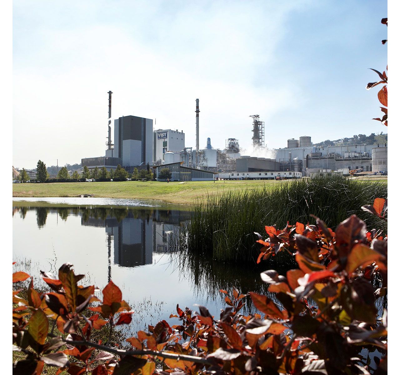 Driving Paper Production at Visy’s Pulp and Paper Mill | Rockwell ...