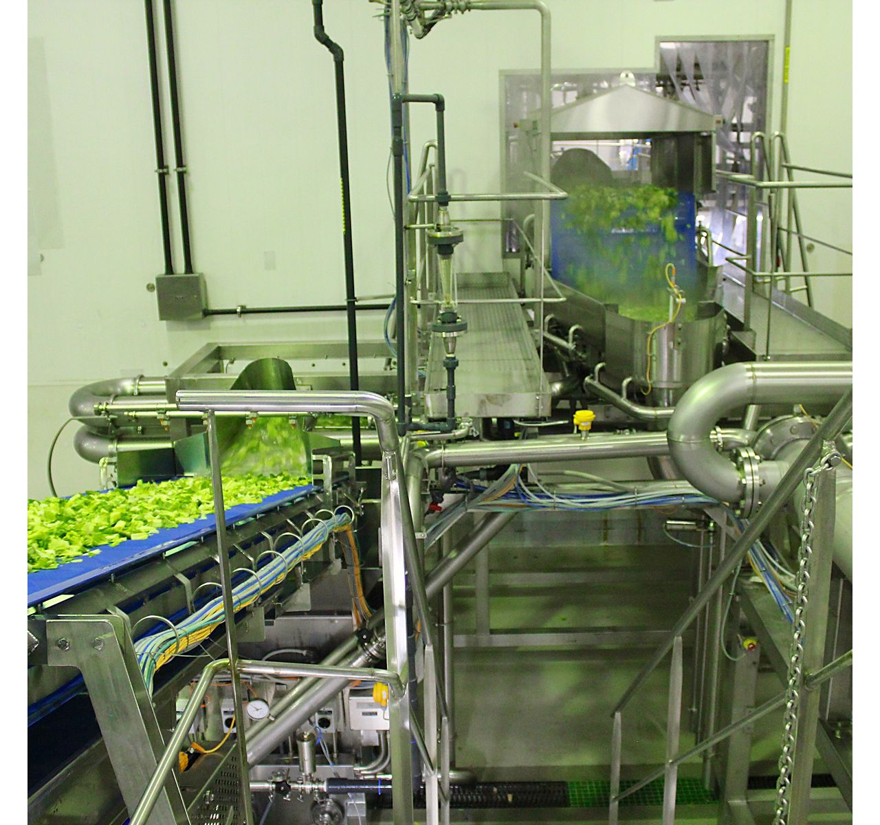 Turatti Sees Increased Productivity in its Food Washing Machinery ...