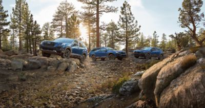 The Best Subaru Vehicles for Camping Guide | Walser Subaru Burnsville
