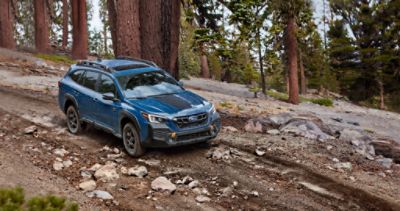 Subaru outback off road parts store