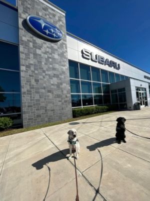 Subaru Love Promise Begins With Superior Subaru of Houston in Jersey ...