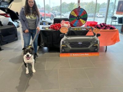 Subaru Love Promise | #1 Cochran Subaru of Butler County