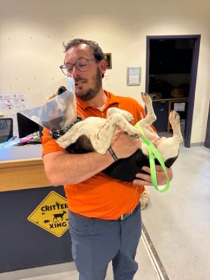 Subaru Love Promise Begins With Flow Subaru of Charlottesville in ...