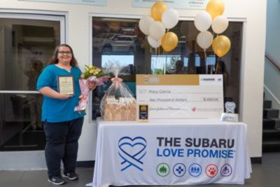 Subaru Love Promise