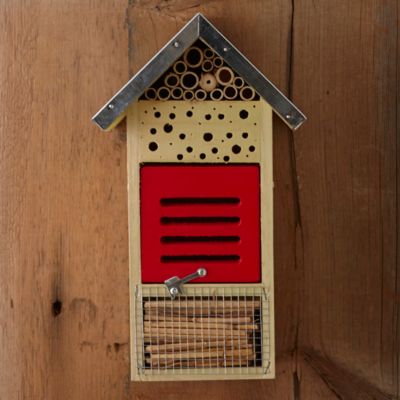 Zinc & Wood Bug House | Terrain