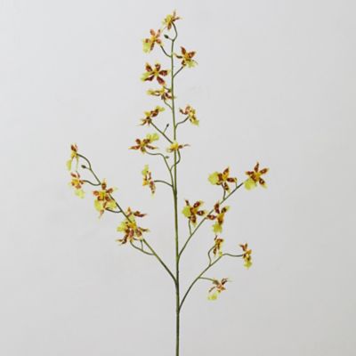 Dried Flower Preserving Spray Uk | Best Flower Site