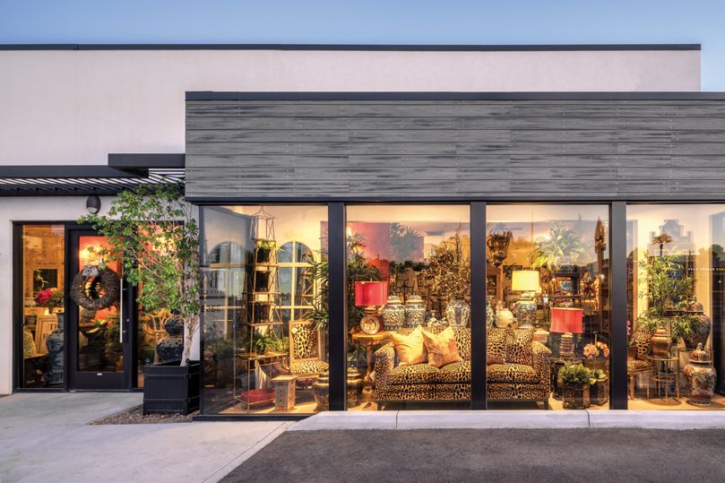 Why Choose Trex: Unmatched Quality & Innovation | Trex Professionals