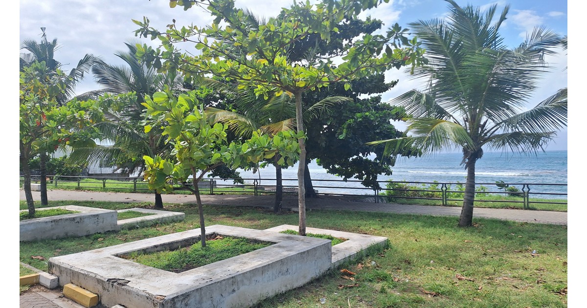 How the World Bank is unlocking nature-based solutions in 100 cities