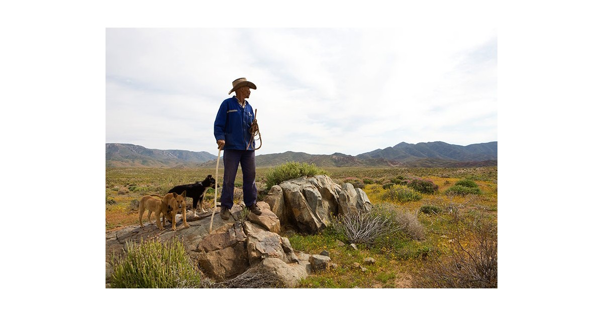 Five ways to help nature help us