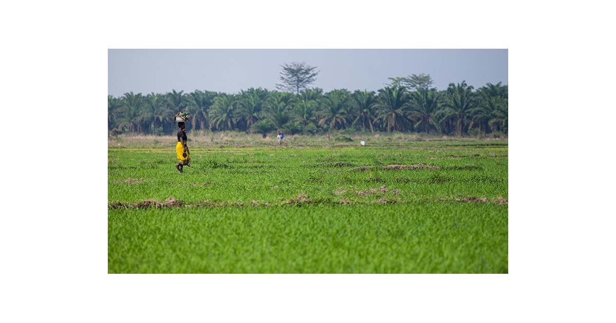 Tackling climate change in the poorest countries