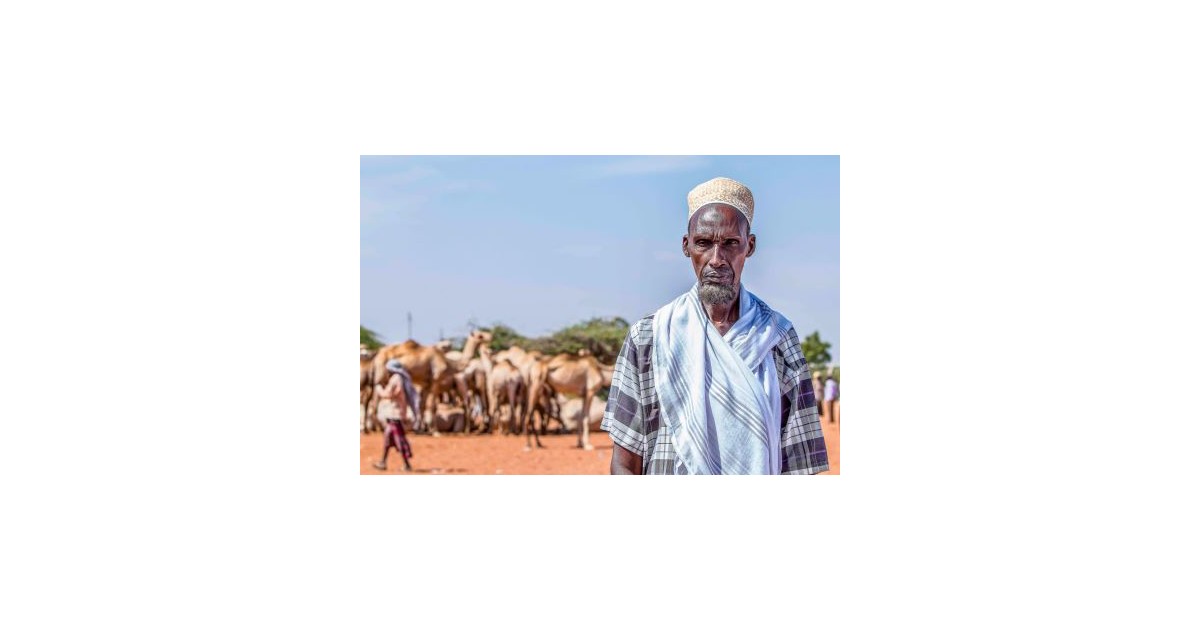 Underneath the volcano: Why structural factors of fragility, conflict ...