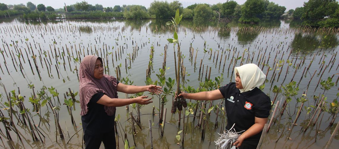 Climate Change | Climate Finance