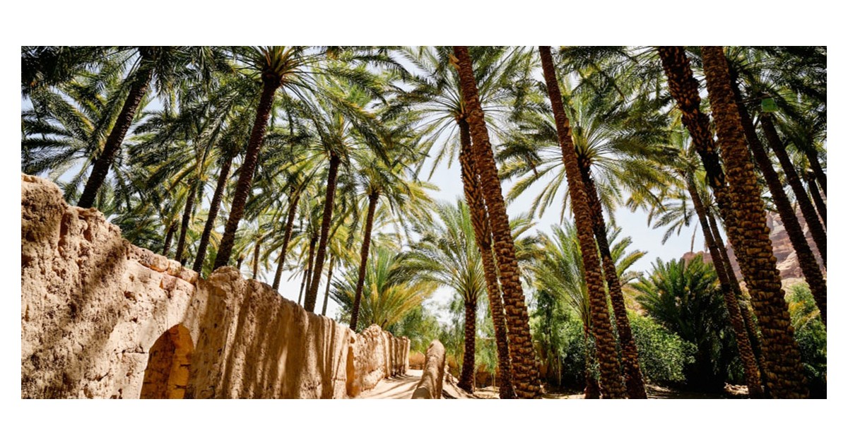 Fostering a sustainable future: the role of land restoration in Saudi ...