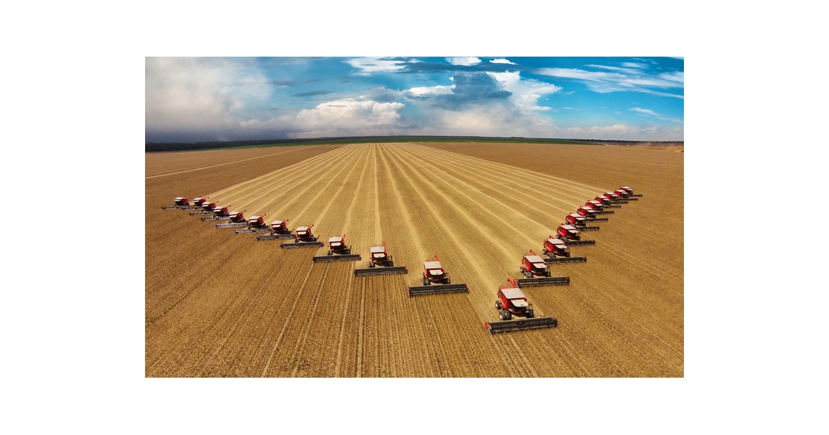 Declining food prices stabilizing at higher than pre-COVID levels