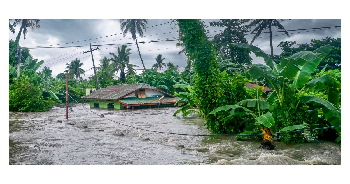 Disaster protection: How public-private insurance programs can make low ...