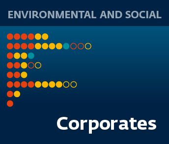 IFC’s ESG Performance Indicators for Capital Markets