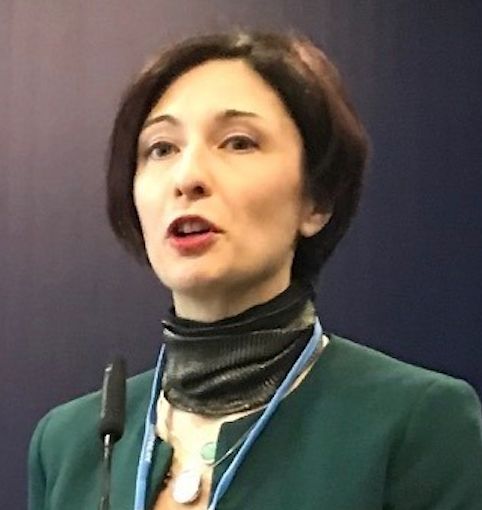 Irene Monasterolo | Assistant Professor of Climate Economics and ...