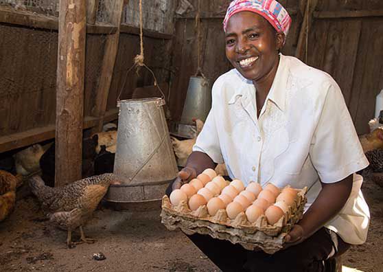 Sustainable Livestock