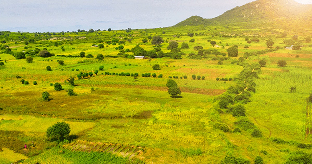 Event | Accelerating Africa Energy Access with Distributed Renewable ...