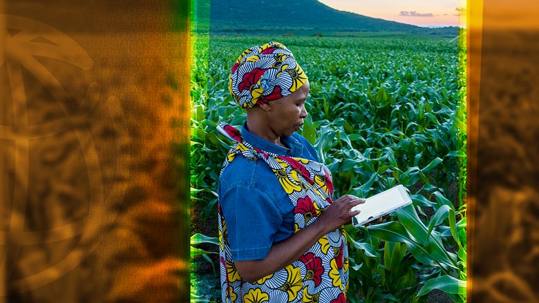 Monica Musonda | World Bank Live