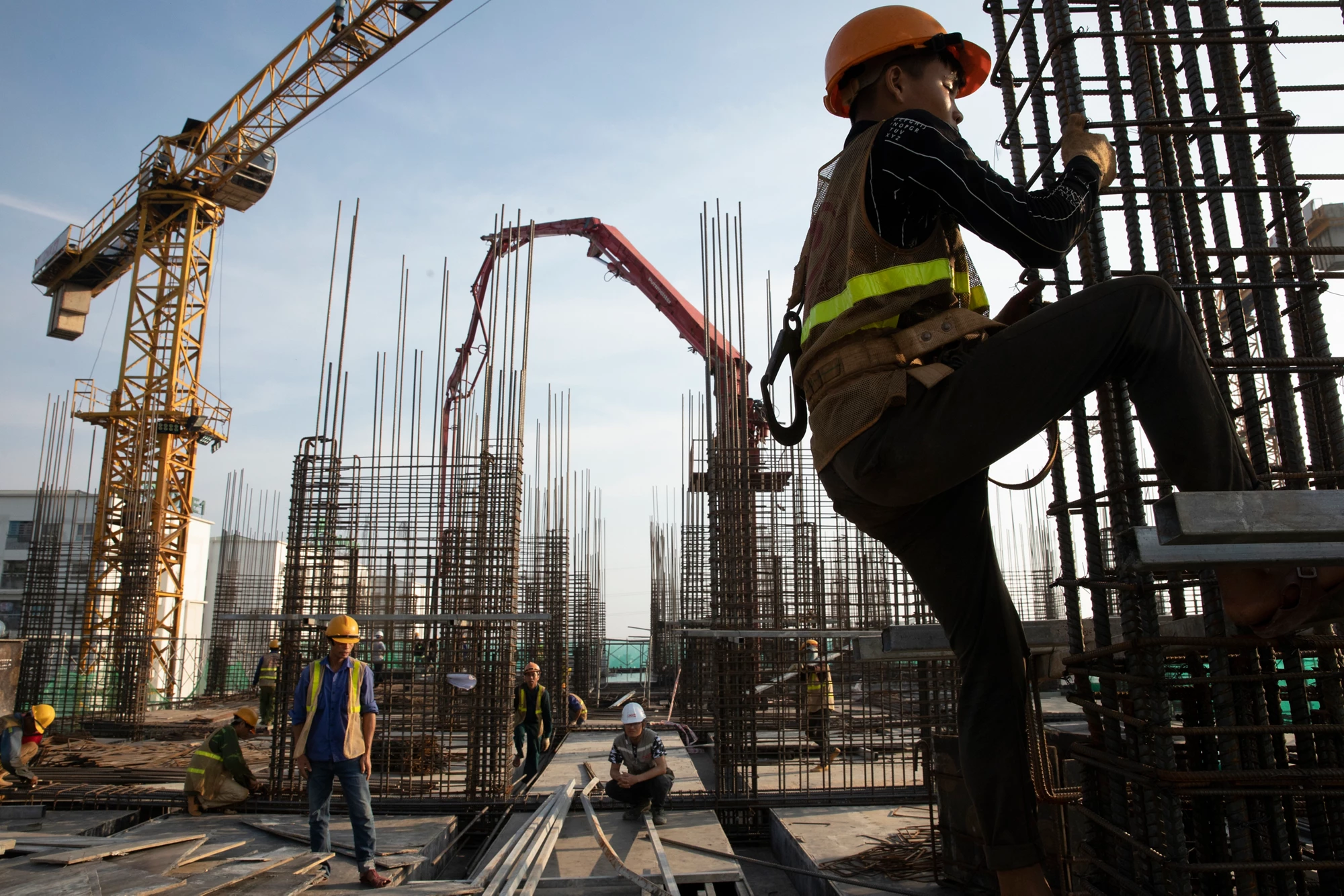 国際金融公社（IFC）