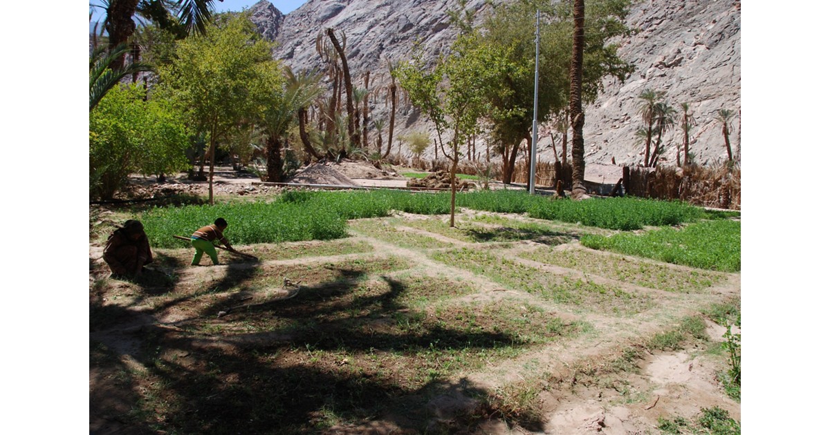 Rural non-farm activities in the Middle East and North Africa: a path ...