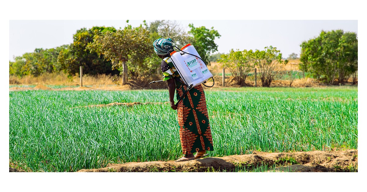 Sowing Seeds of Change to Build Soil Health and Food Systems ...