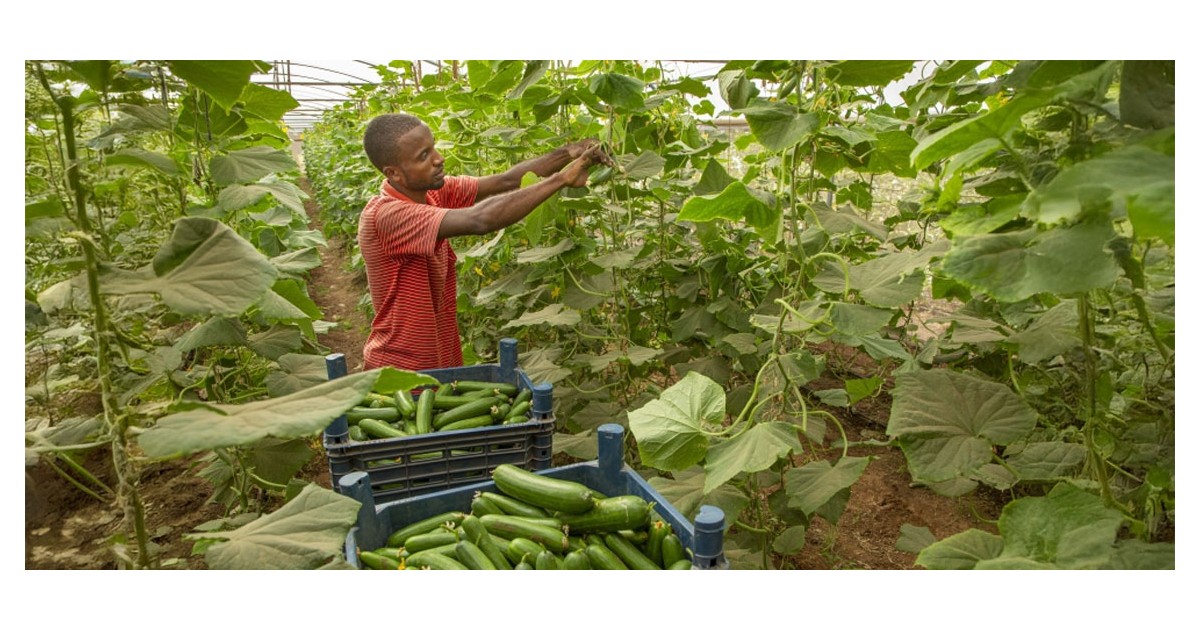 Somalia’s quiet transformation - Policy reforms, community resilience ...