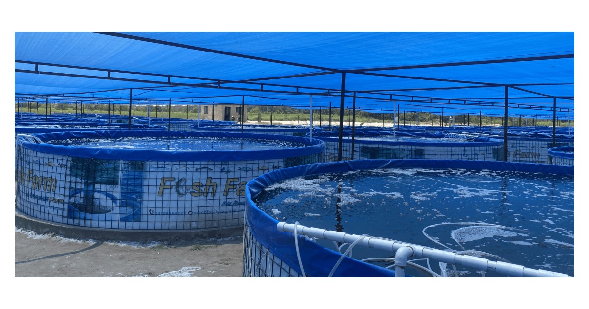 Lessons from Asia on aquaculture growth potential amid resource and ...