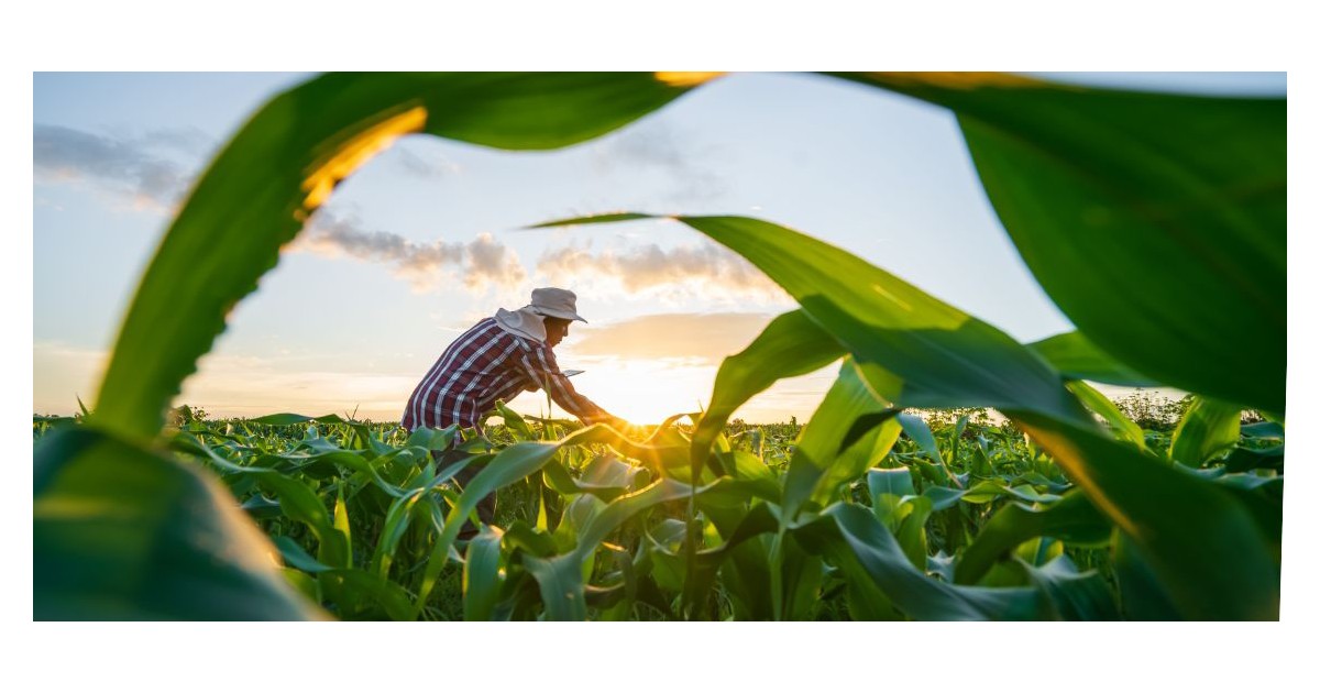 Redoubling our efforts for a better food future