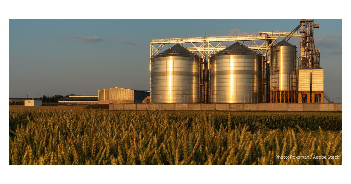 Leveraging strategic grain reserves to enhance food security