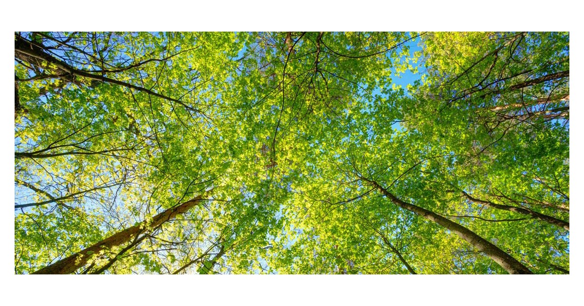 We need healthier air for a healthier planet