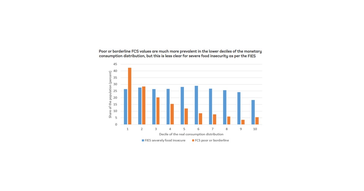 How should we measure food security during crises? The case of Nigeria